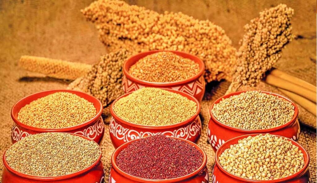 Health and Sustainability: Millets as a Global Superfood - NISHIKA ...